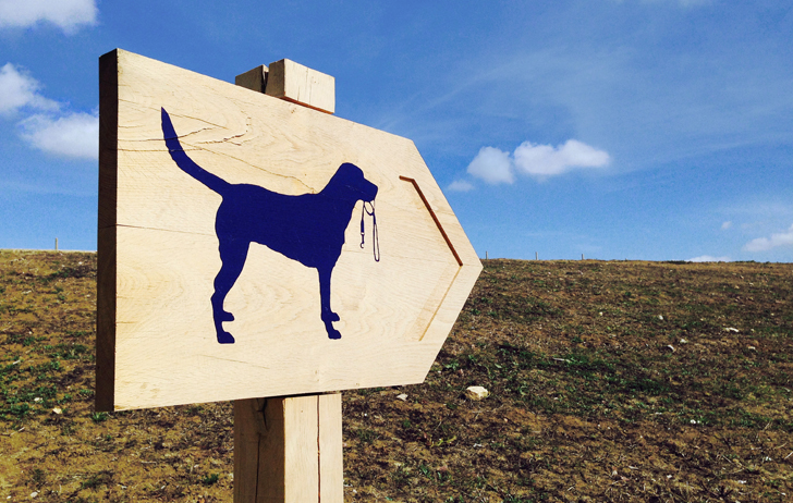 The Westmorland Family — Squad